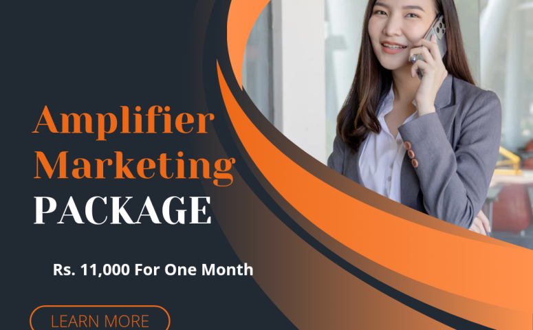 Amplifier Digital Marketing Strategy in India - Digital Pride